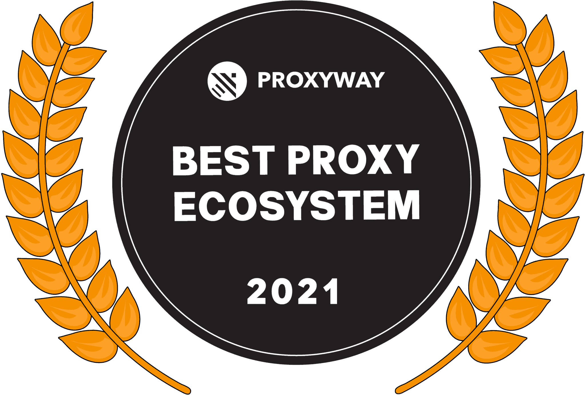 Proxy Service Awards 2021 - Proxyway