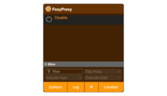 Best Browser Proxy Extensions in 2025 - Proxyway